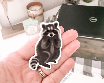 Raccoon Decal | Etsy