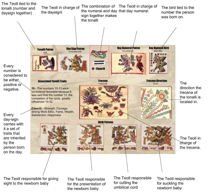 Azteca/mexica Birthday (tonalli) Meaning Analysis - Etsy