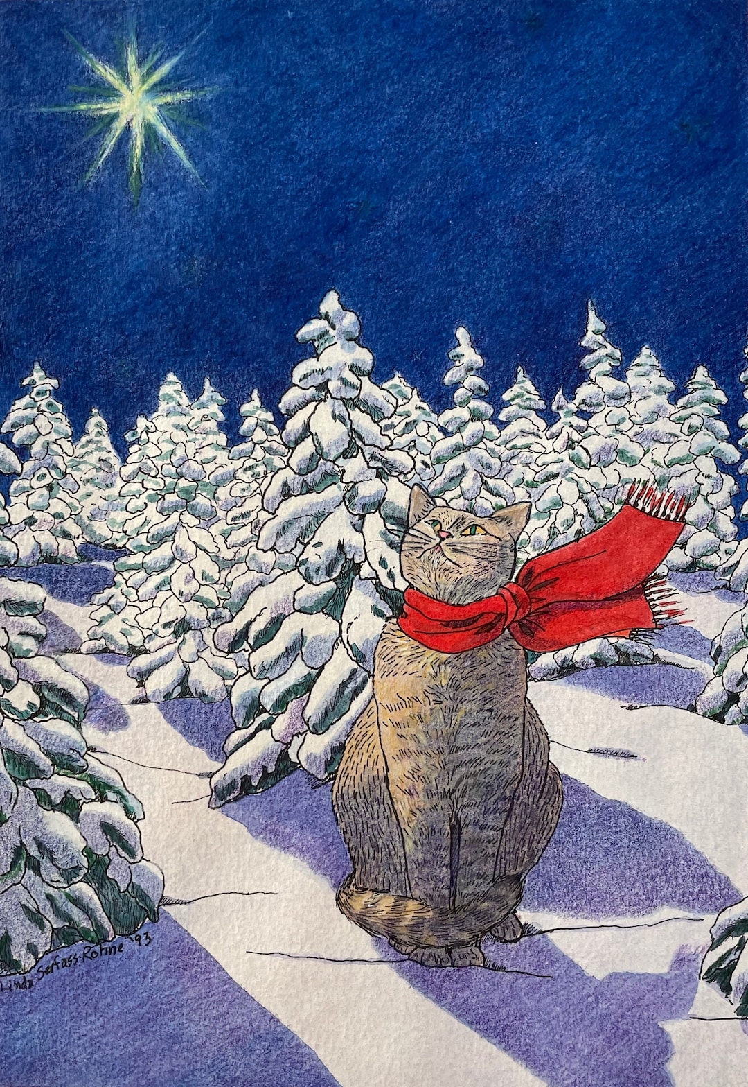 Christmas Card Sets, Christmas Cat, Christmas Star, Snowy Night, Snowy ...