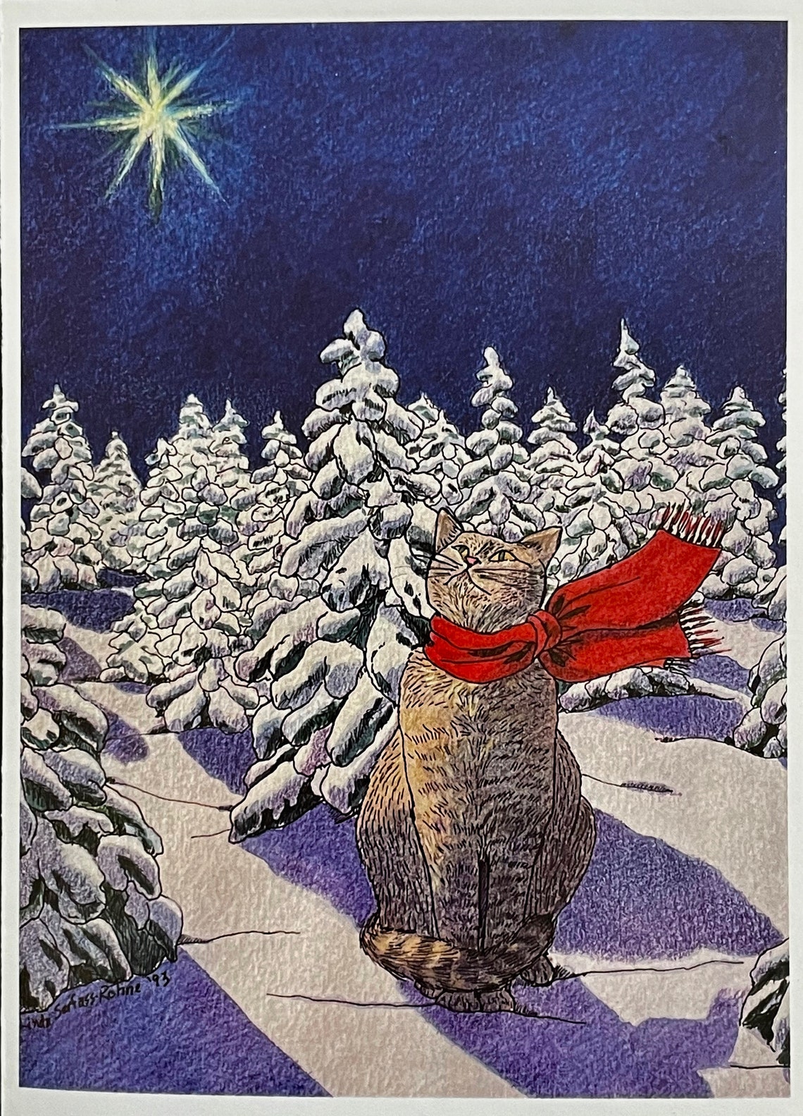 Christmas Card Sets, Christmas Cat, Christmas Star, Snowy Night, Snowy ...