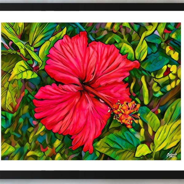 Puerto Rico Amapola - Etsy