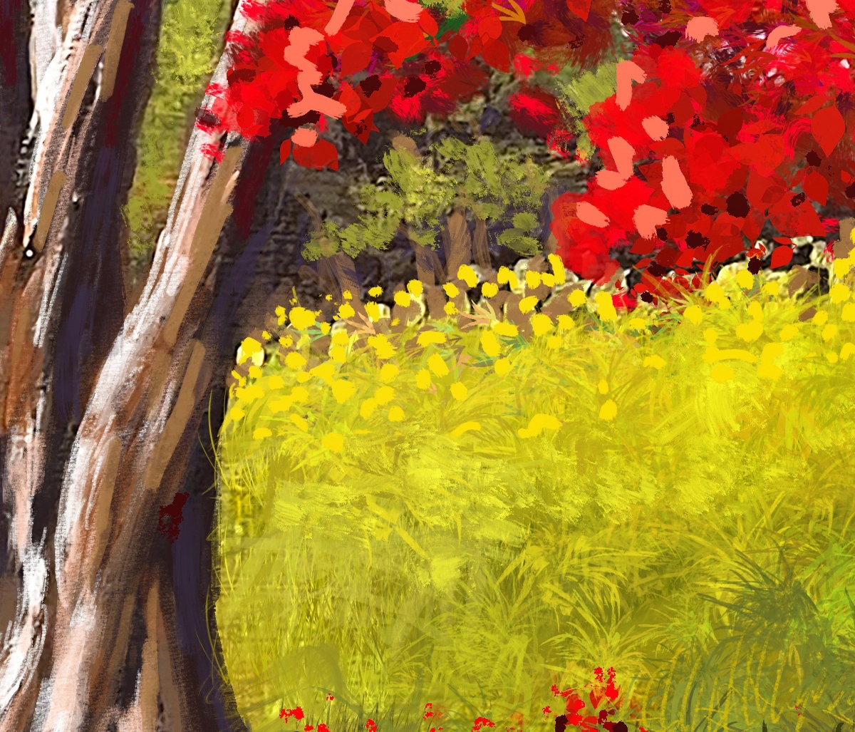 Red Flamboyant Tree Giclée Print: Puerto Rico Landscape Art - Etsy
