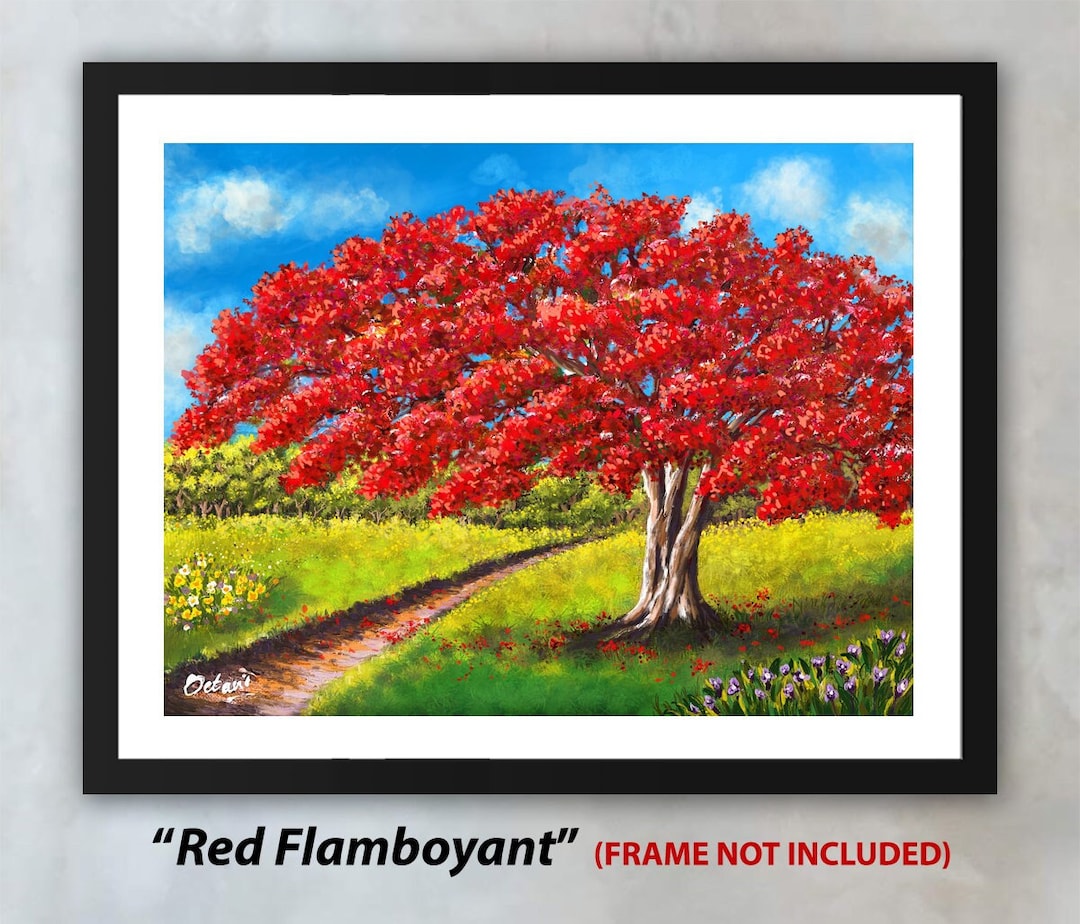 Red Flamboyant Tree Giclée Print: Puerto Rico Landscape Art - Etsy