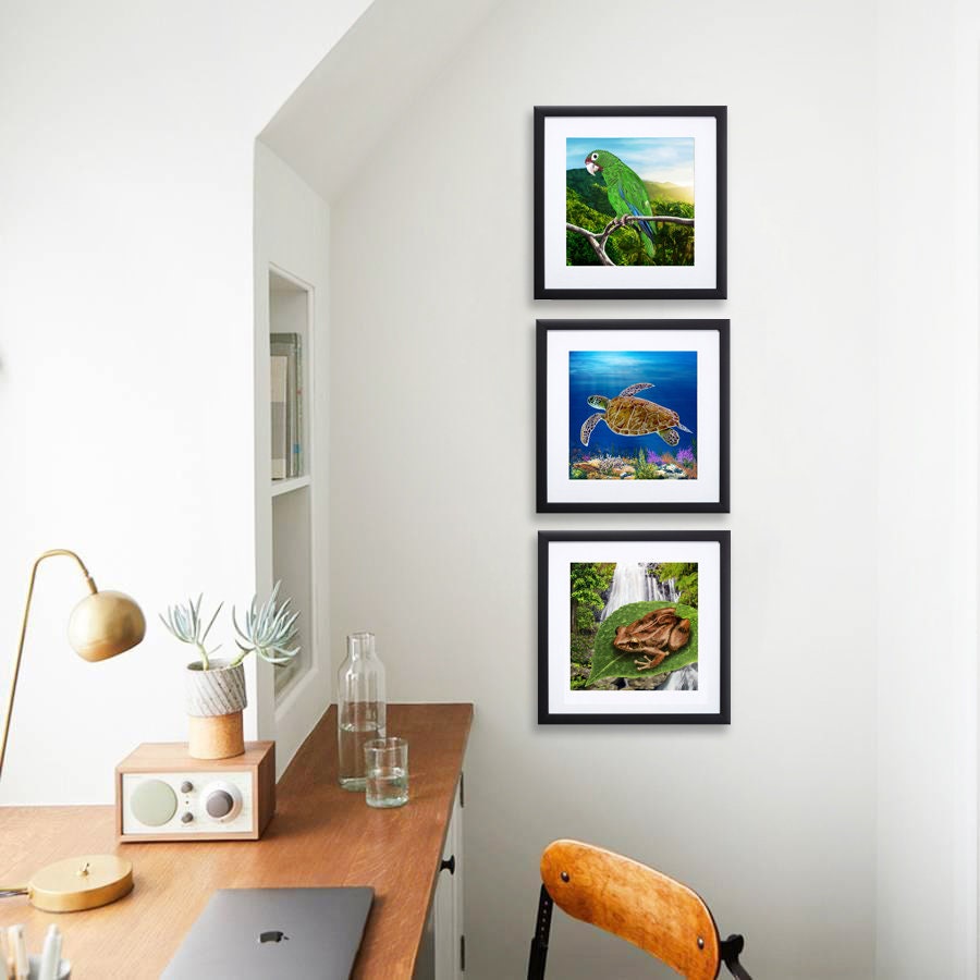 Puerto Rico Animals Triptych animals of Puerto - Etsy