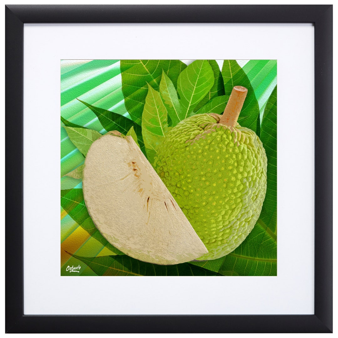 Breadfruit Art Print: Caribbean Kitchen Wall Decor (not Framed) - Etsy