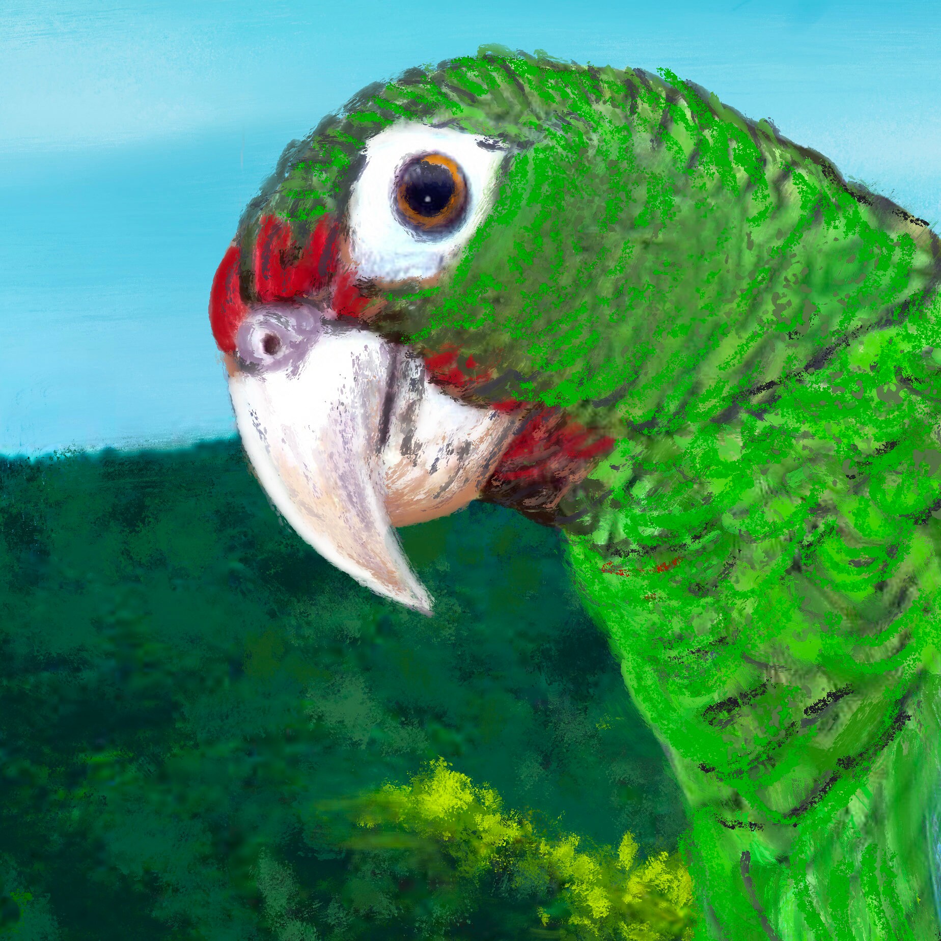 Puerto Rico Print Giclee Parrot Cotorra Wall Decor Caribbean - Etsy