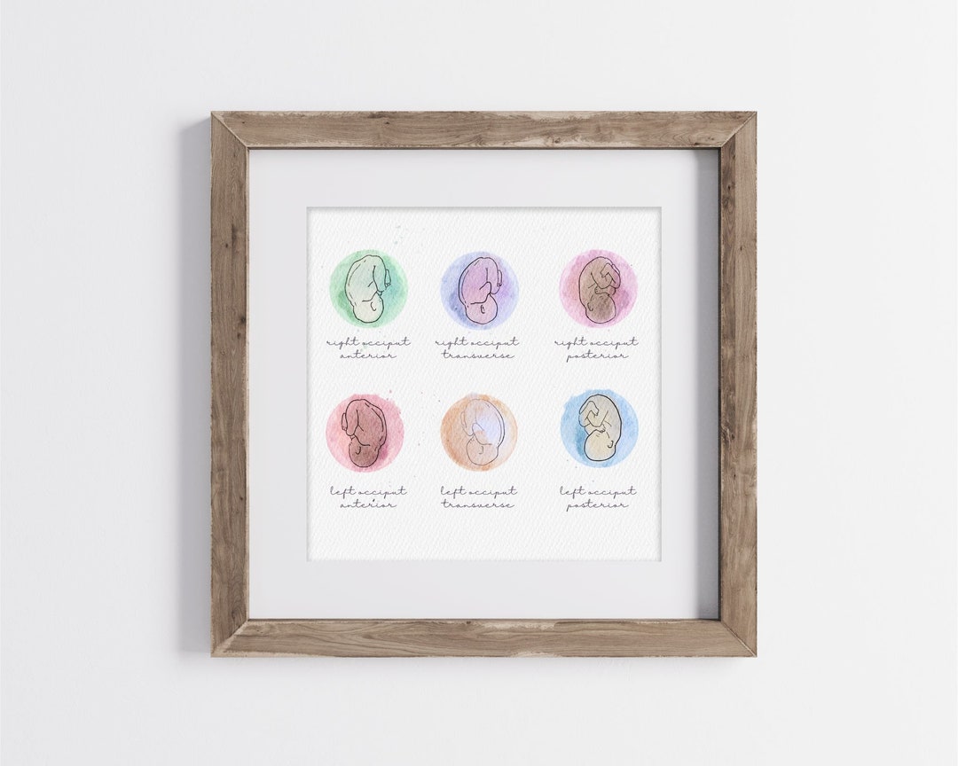Fetal Position Watercolor Art Print, OB/GYN Watercolor Art, Midwife ...