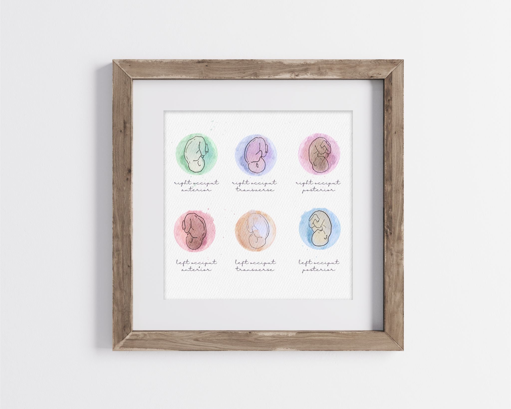 Fetal Position Watercolor Art Print, Midwife OB/GYN Gift - Etsy