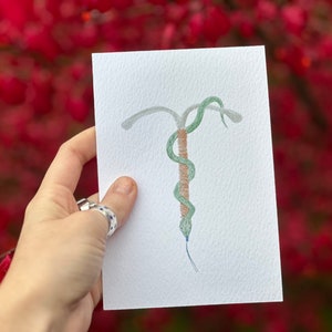 Don't Tread on Me IUD Watercolor Print, IUD Watercolor Painting, Ob/gyn ...