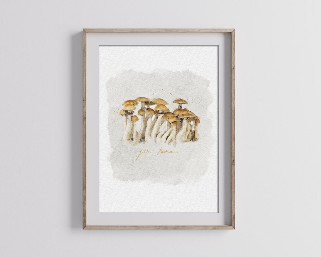 Mushroom Painting, Mushroom Drawing, Mushroom Wall Art, Vintage ...