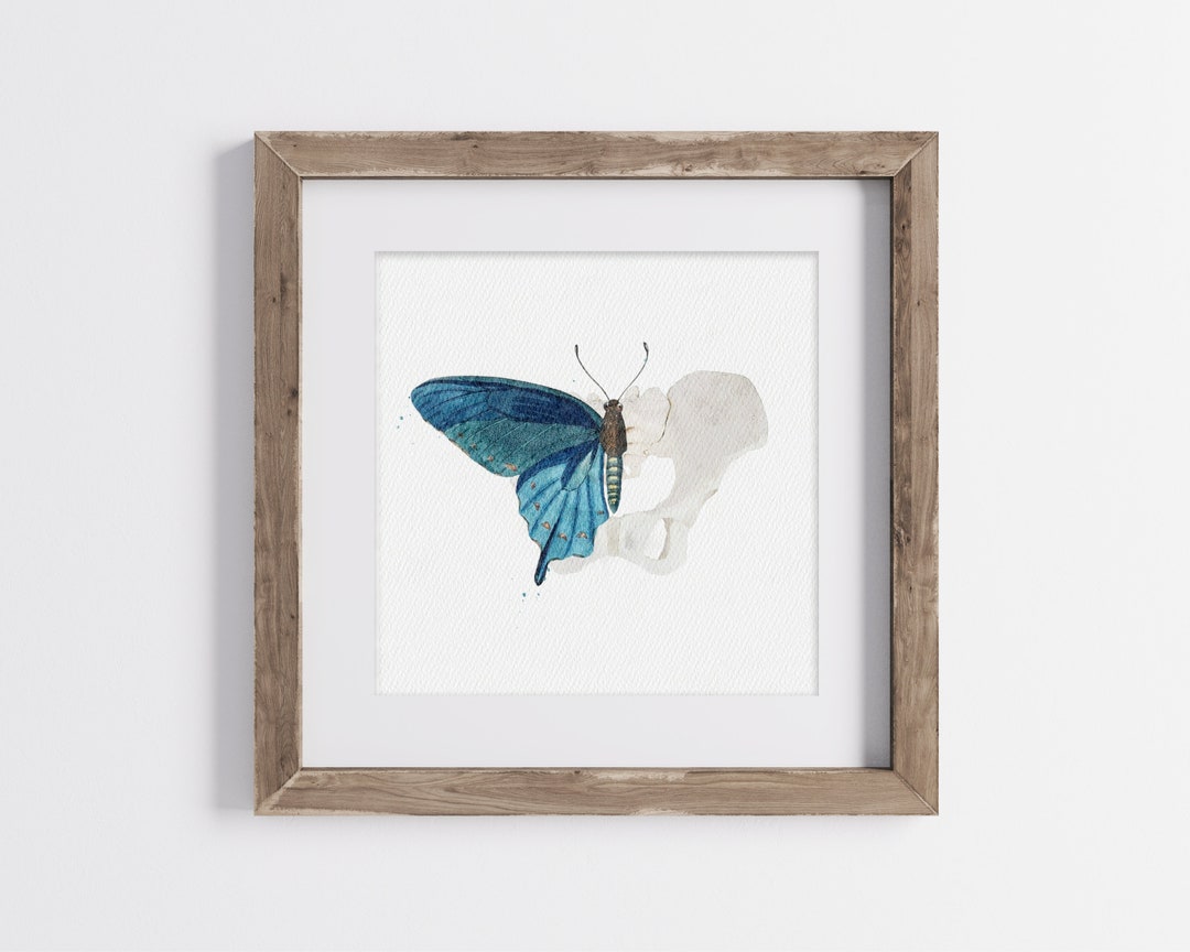 Vintage-inspired Butterfly Pelvis Watercolor Print, Pelvis Art, Birth ...