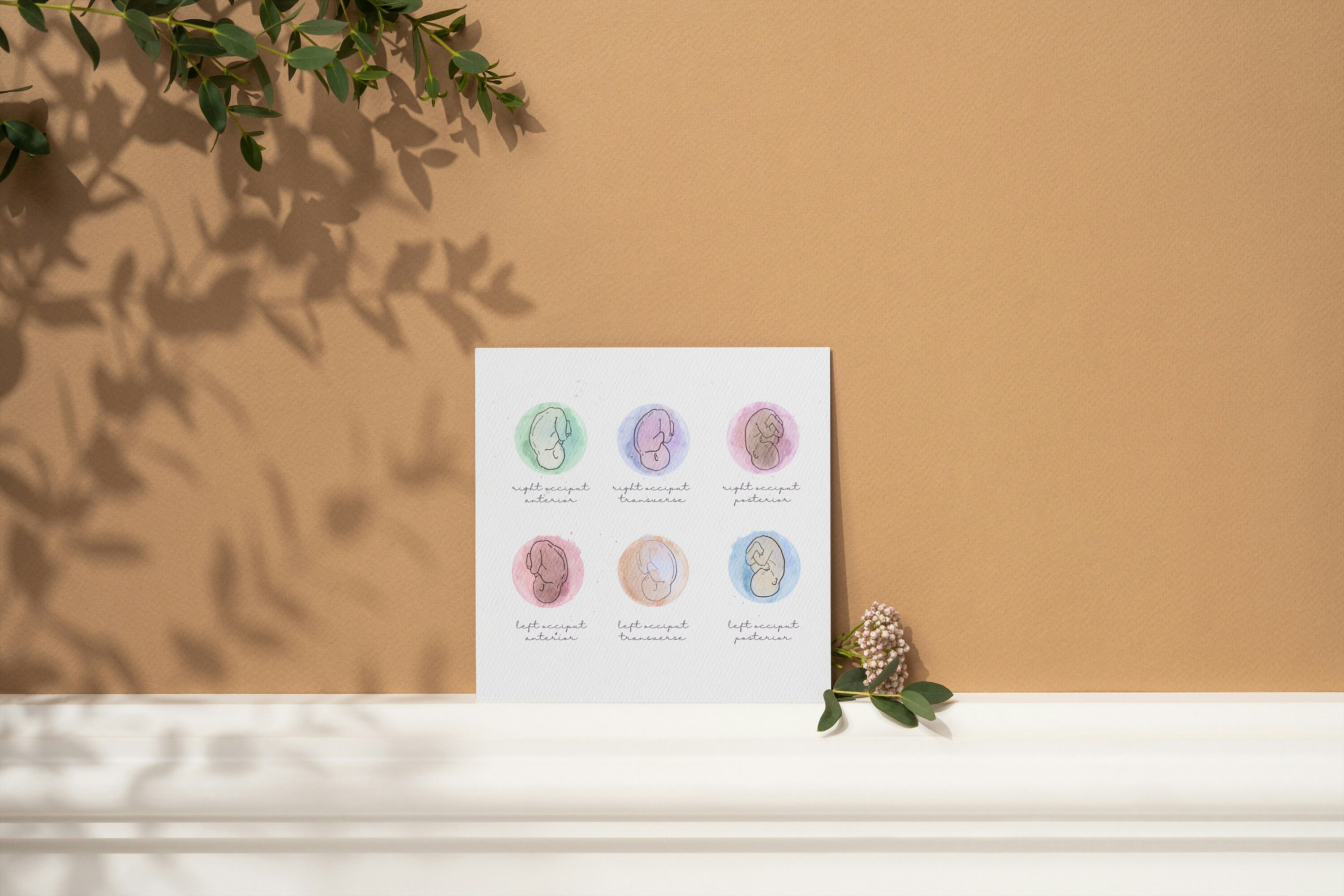 Fetal Position Watercolor Art Print, Midwife OB/GYN Gift - Etsy