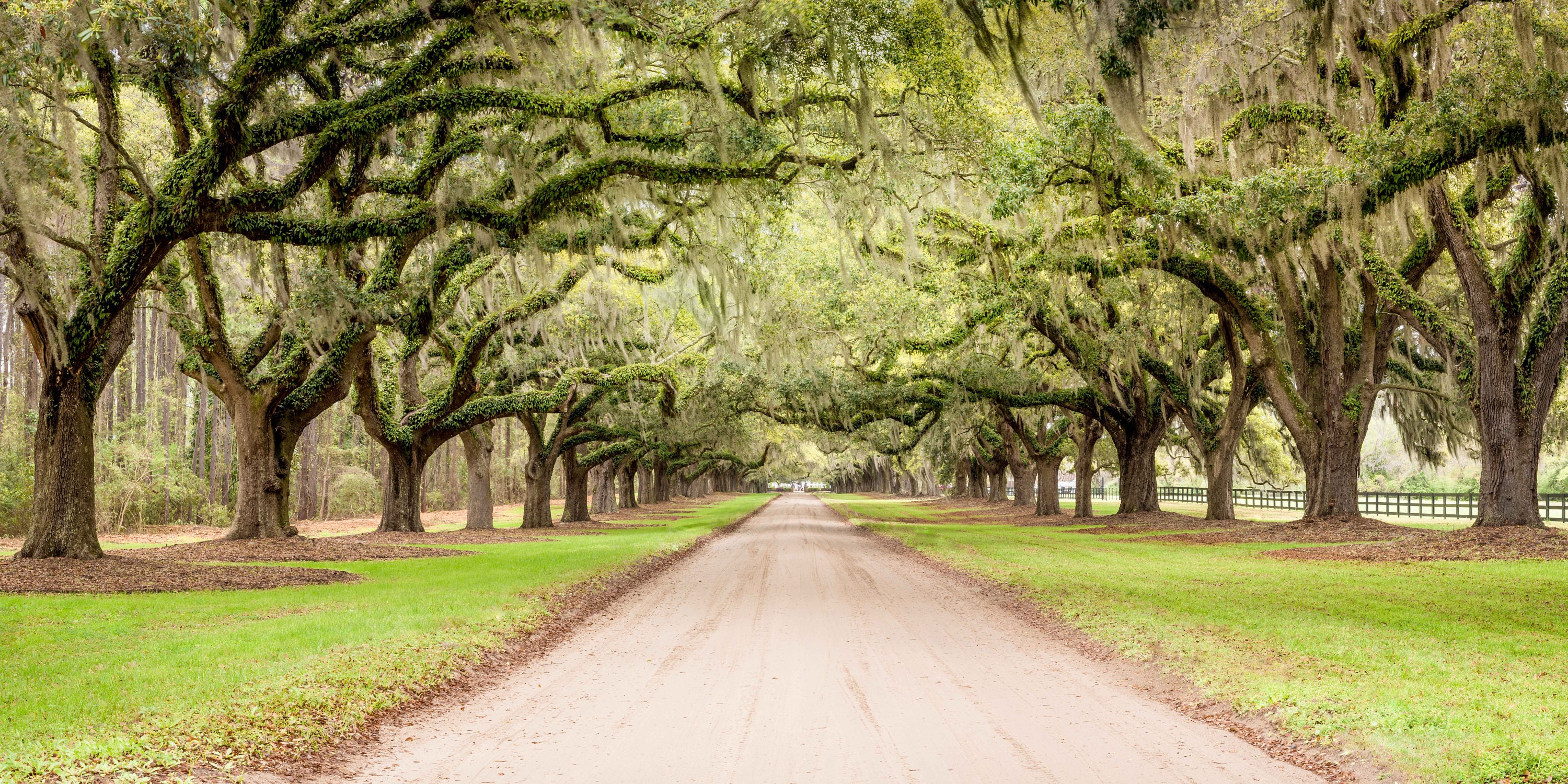 Panoramic Charleston Photo, Travel Photo, Charleston South Carolina ...