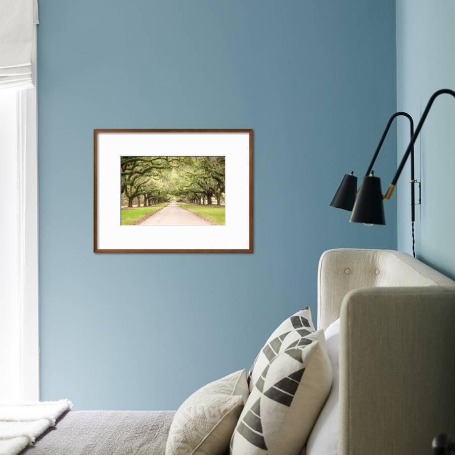 South Carolina Photo, Charleston Wall Art, Oak Tree Wall Art ...