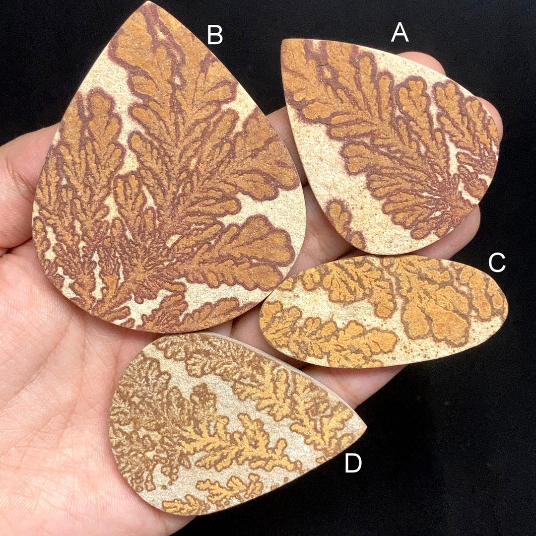 Dendrite Fossil Cabochon: Natural Gemstone for Wire Wrapped Pendant ...