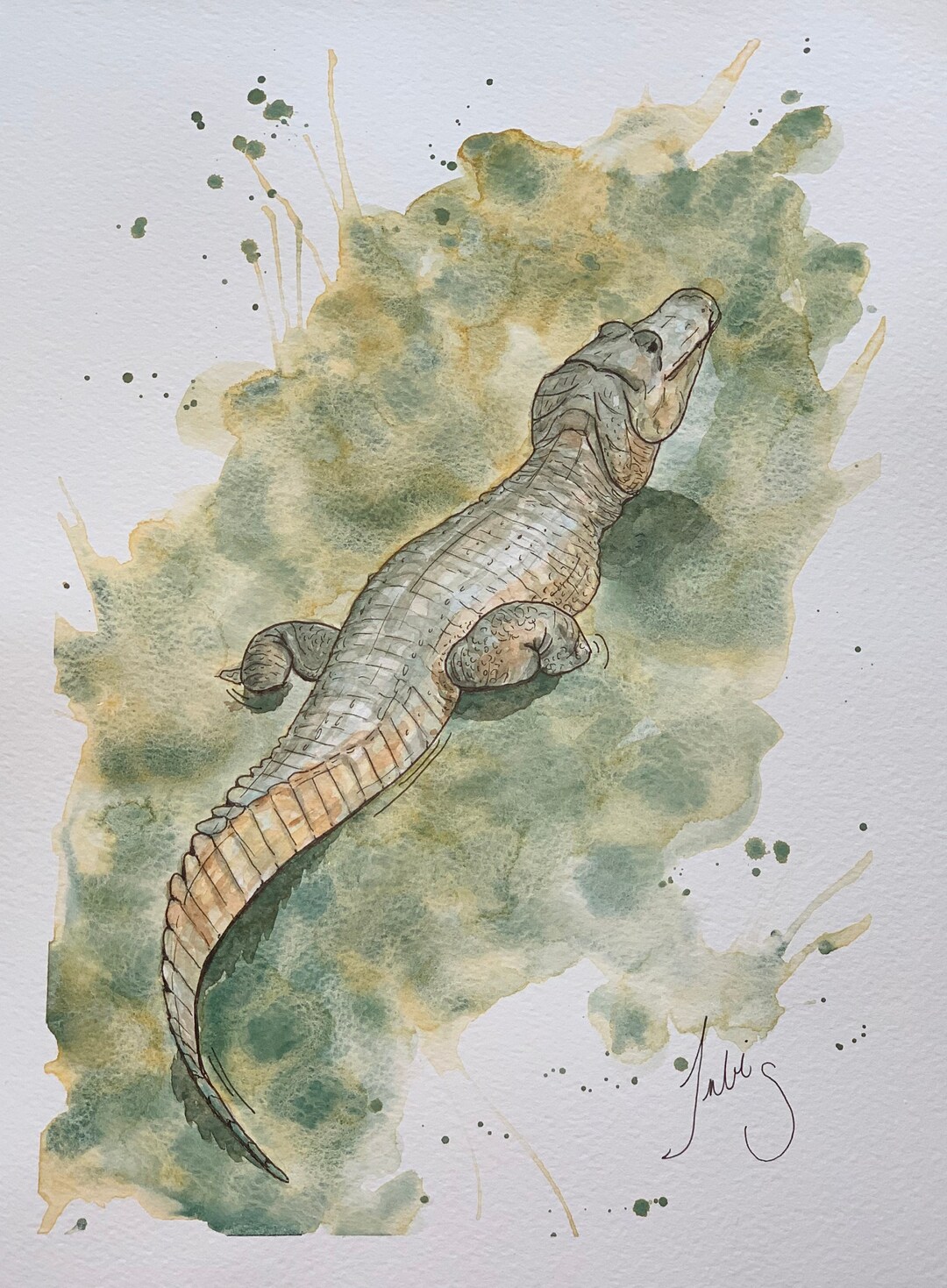 Swamp Chomper - Original Watercolor 9x12 Crocodile Painting - Etsy