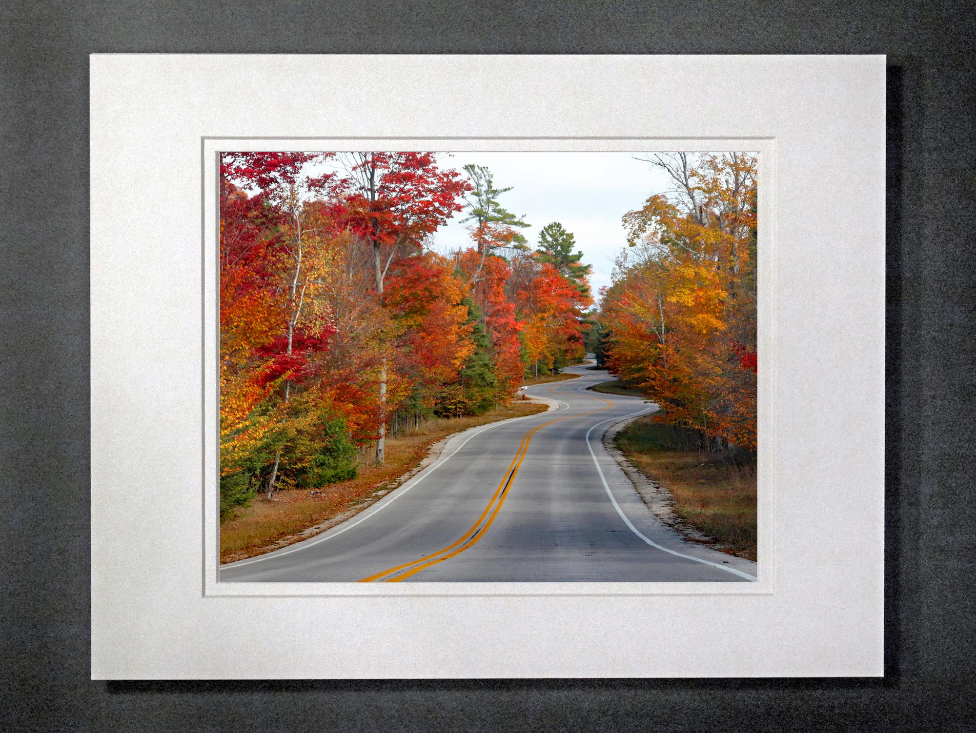 Swervy Road Fall Colors, Door County, Wisconsin - Etsy