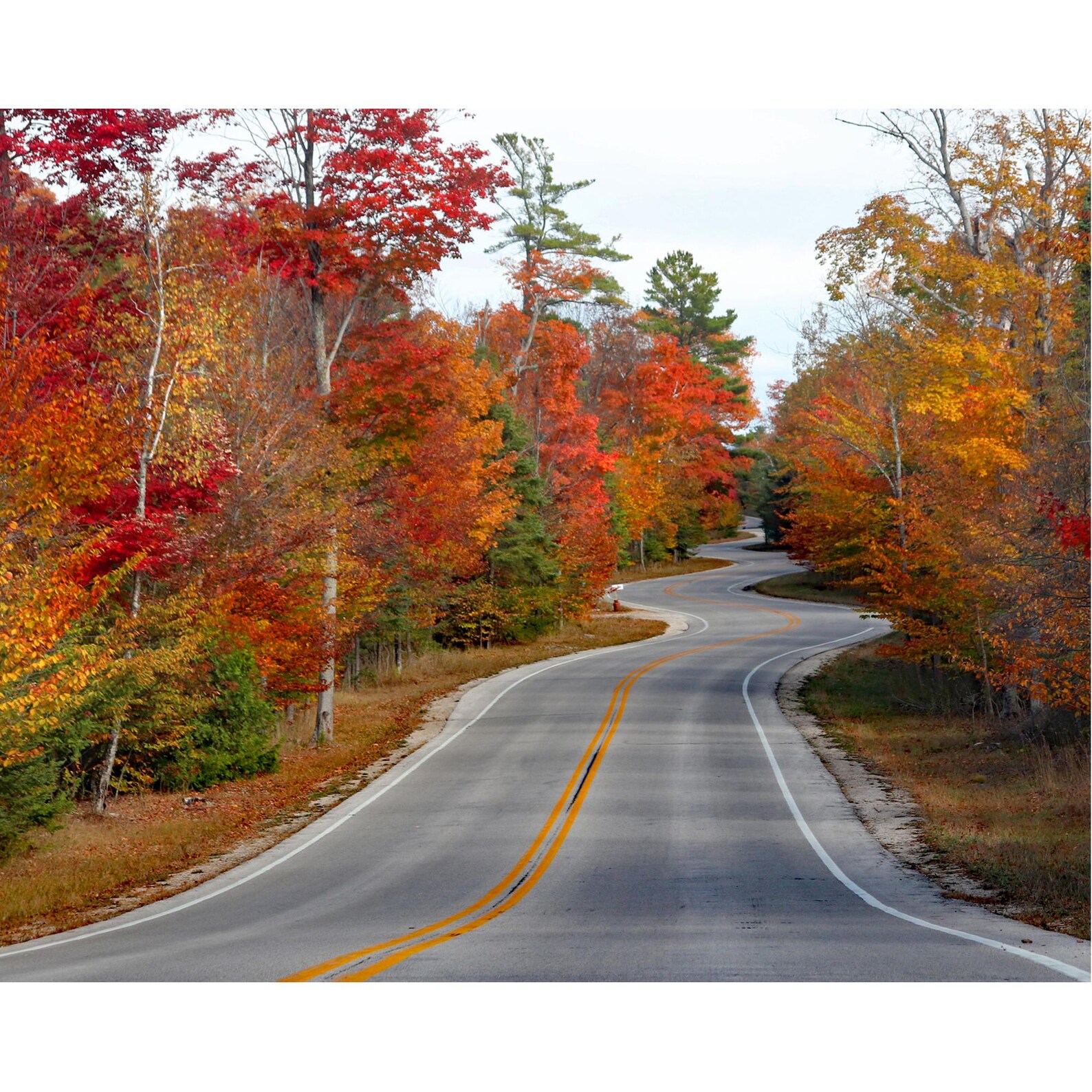 Swervy Road Fall Colors, Door County, Wisconsin - Etsy