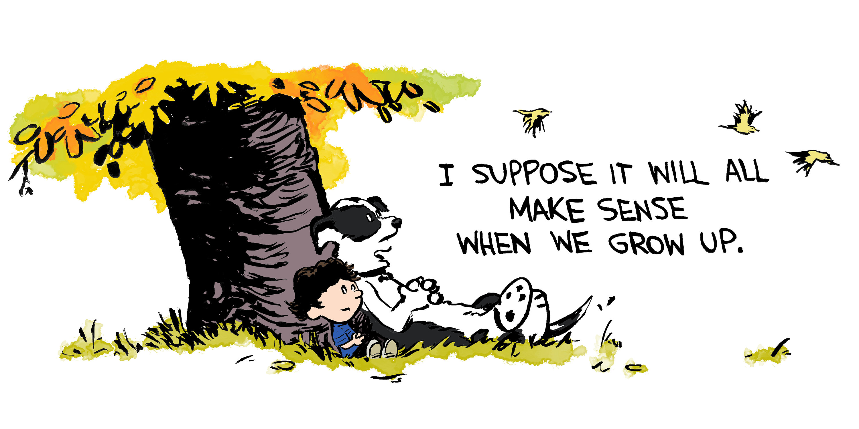 Calvin And Hobbes Growing Up Quotes