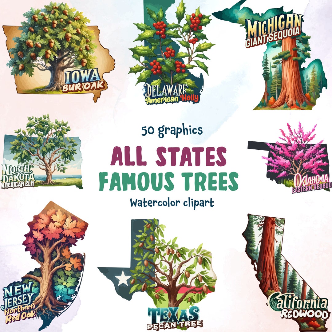 All 50 USA States Famous Trees Watercolor Clipart, Iconic Official ...