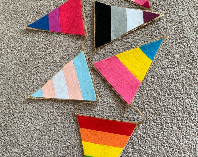 Assorted Felt Pride Flag Banner-pride Decor - Etsy