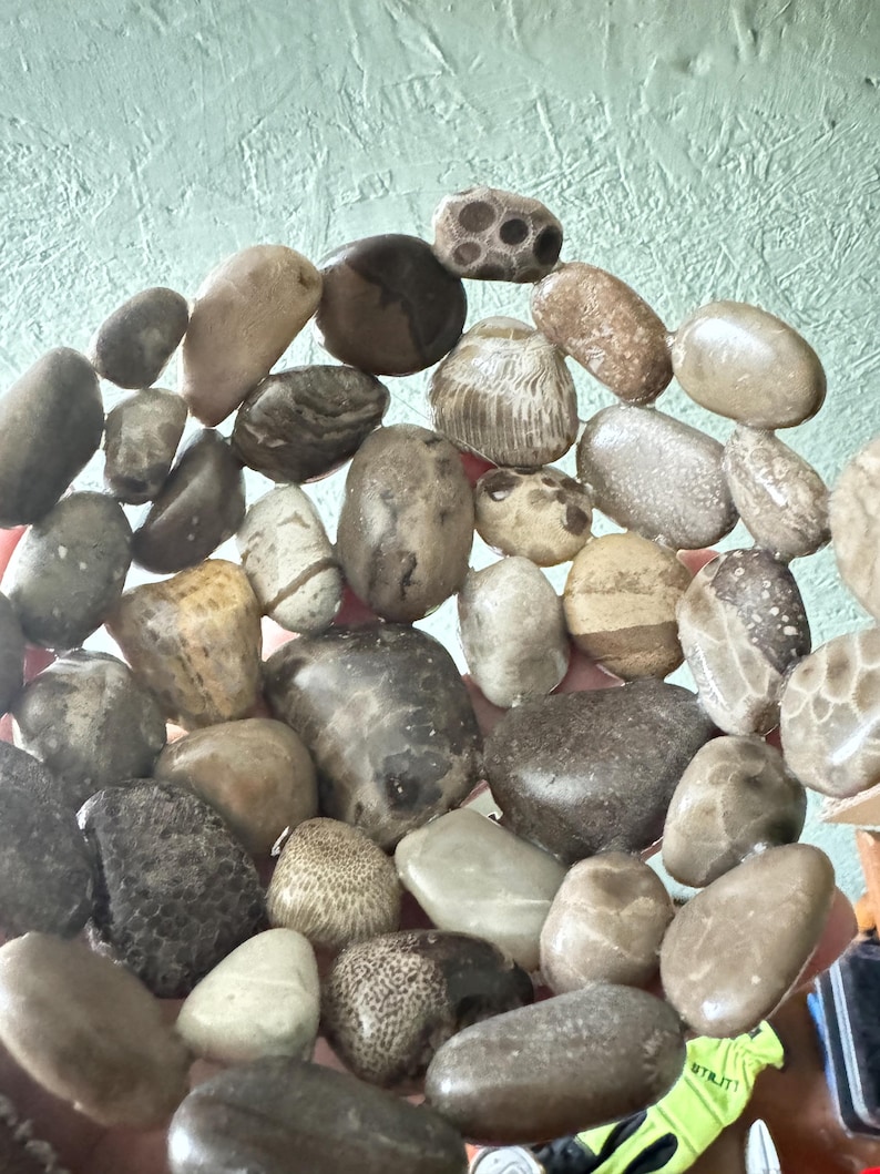 Handcrafted Rock Bowls – Michigan Pudding Stones, Coral Fossils, and ...