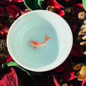 Koi Fish Porcelain Sauce Dishes – Sushi and Tea - Etsy
