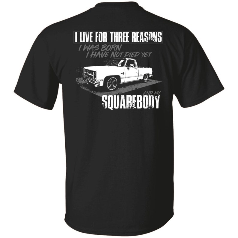 1986 Chevy, C10 Truck, Chevy Square Body, Squarebody, Live for 3 ...