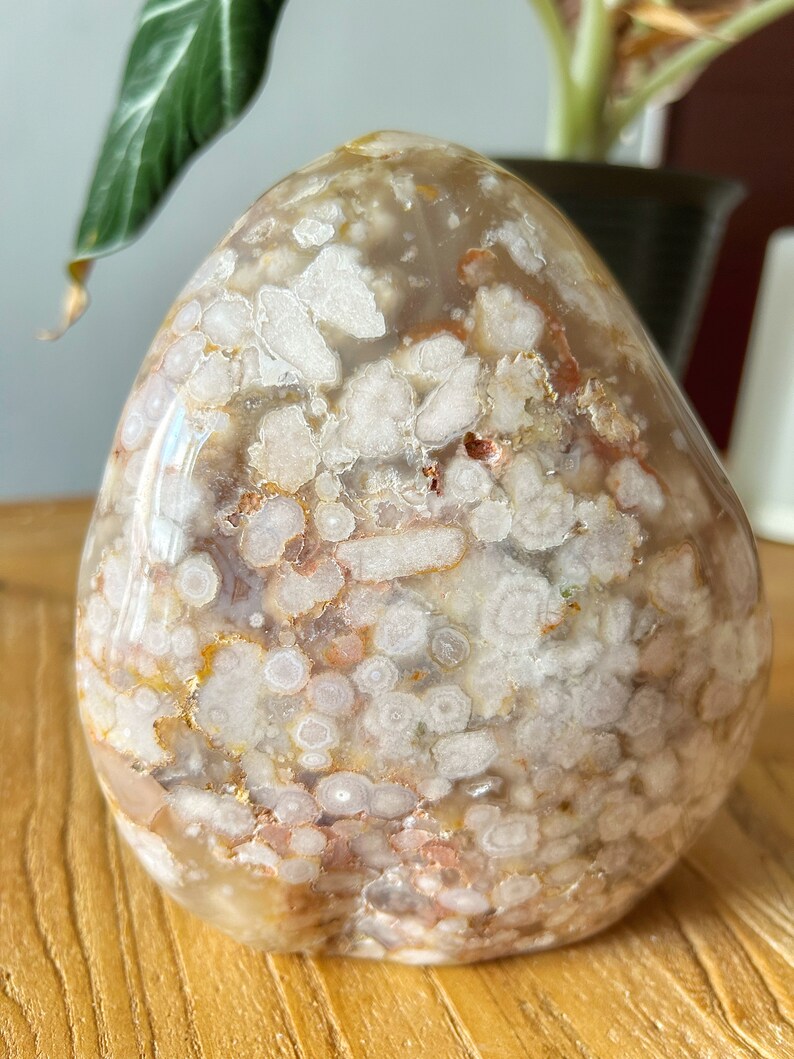 QUALITY Flower Agate Freeform With Quartz Inclusions - Etsy