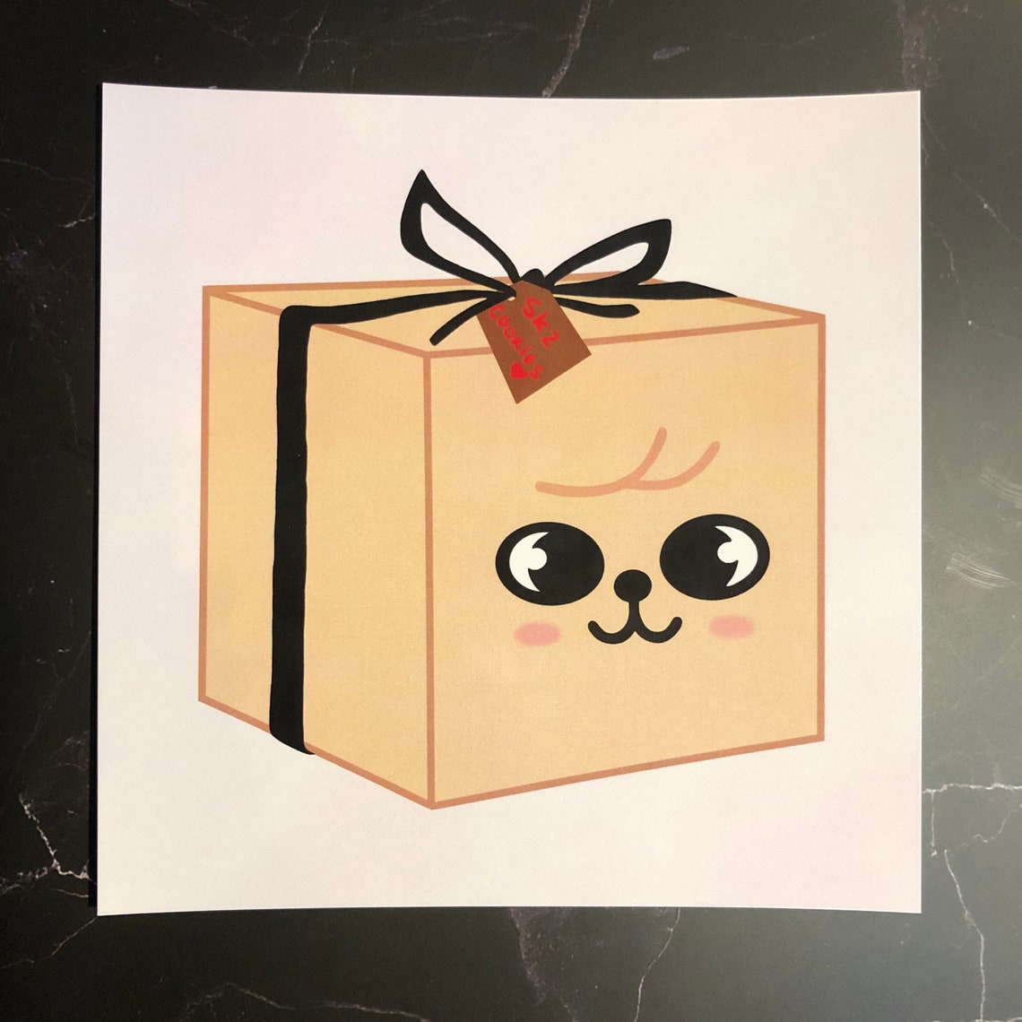 SKZOO Cookie Box OT8 Collection - Etsy