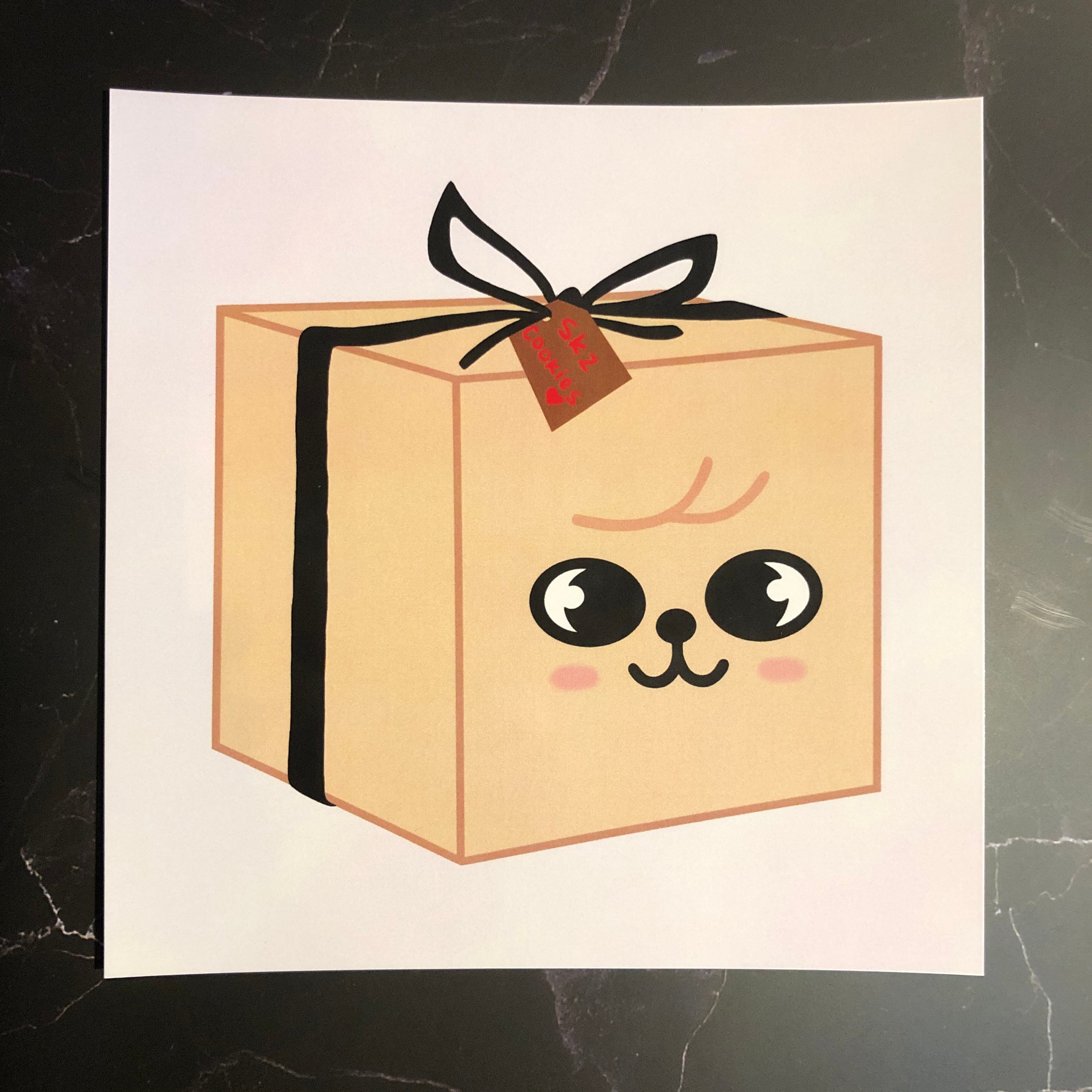 SKZOO Cookie Box OT8 Colección - Etsy México