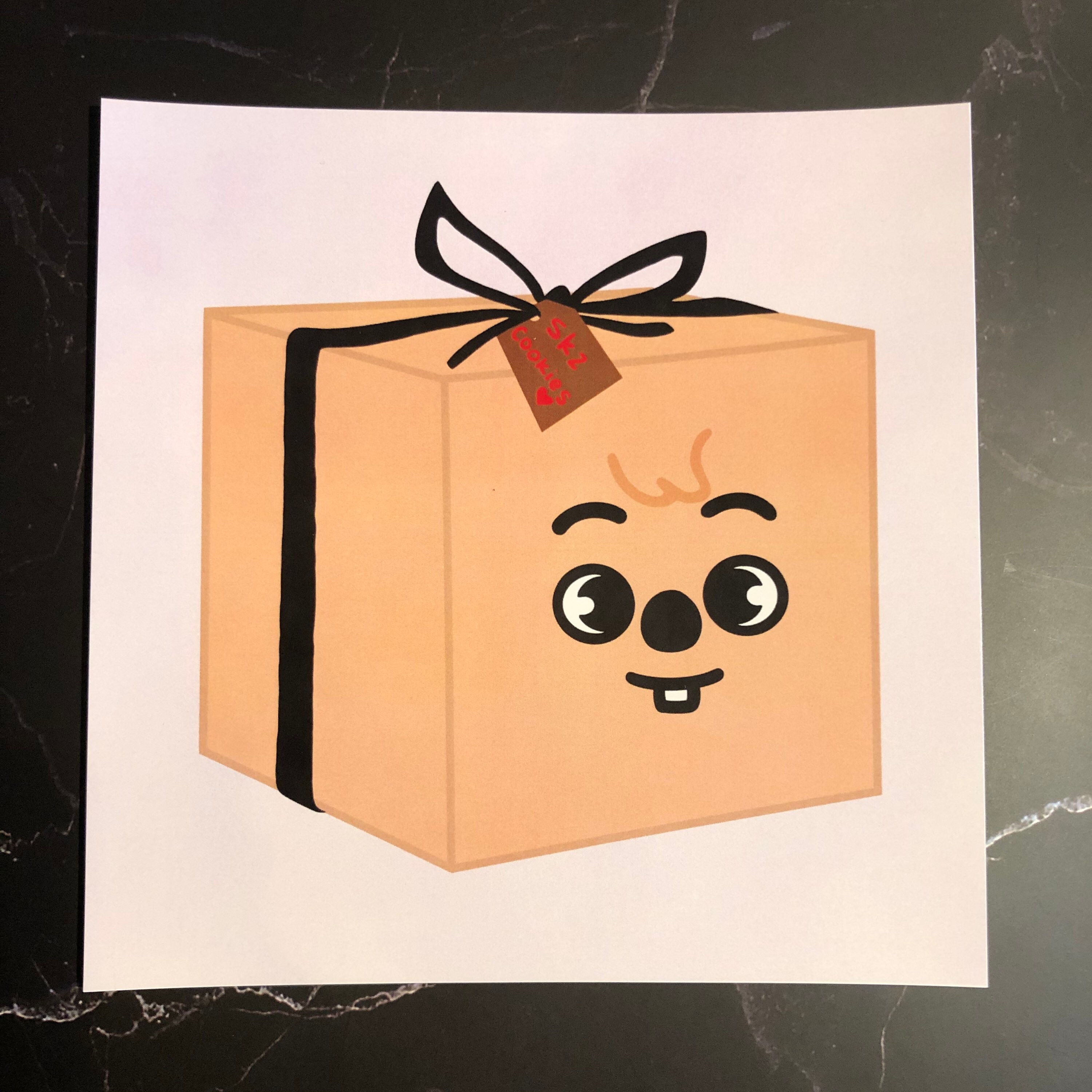 SKZOO Cookie Box OT8 Collection - Etsy