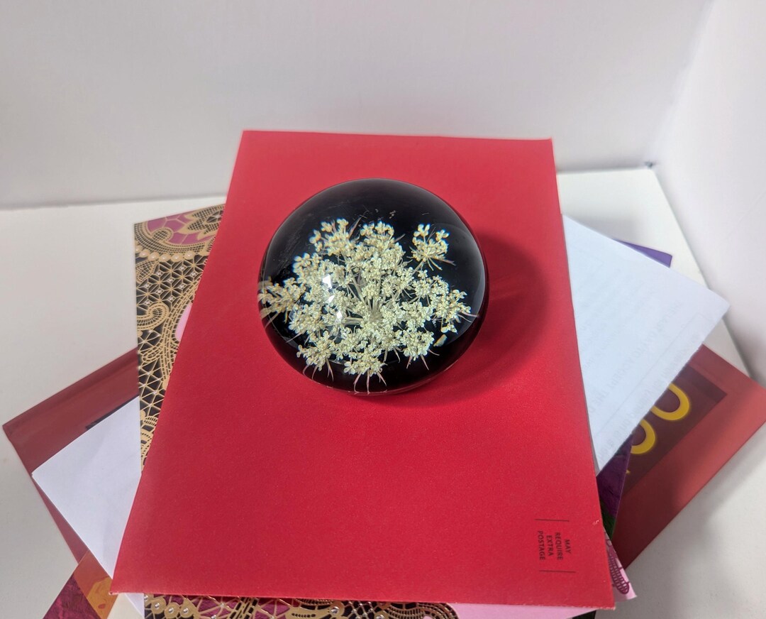 Vintage Tarax Infinity Product Lucite Acrylic Paperweight With Dried ...