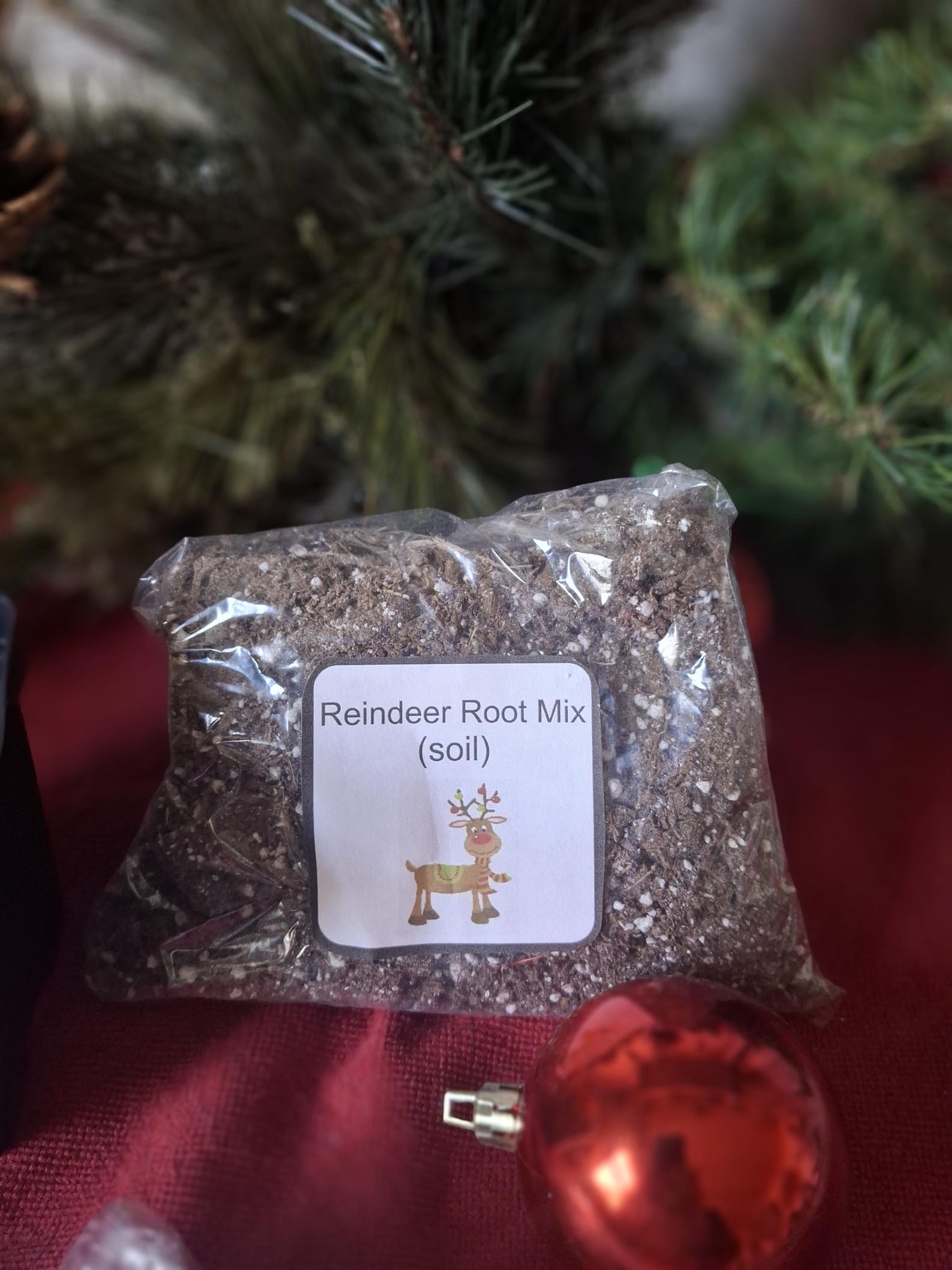 Elf on Shelf Activity Christmas Tree Grow Kit Comes With Short Story ...