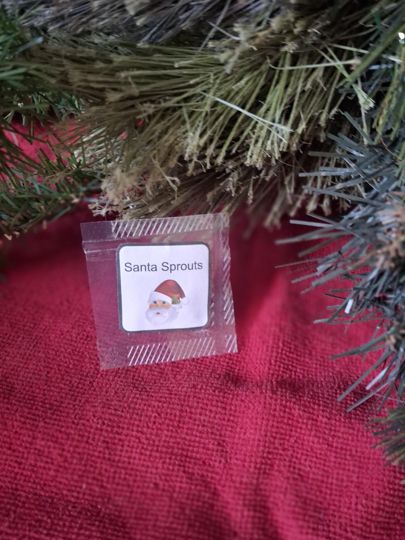 Elf on Shelf Activity Christmas Tree Grow Kit Comes With Short Story ...