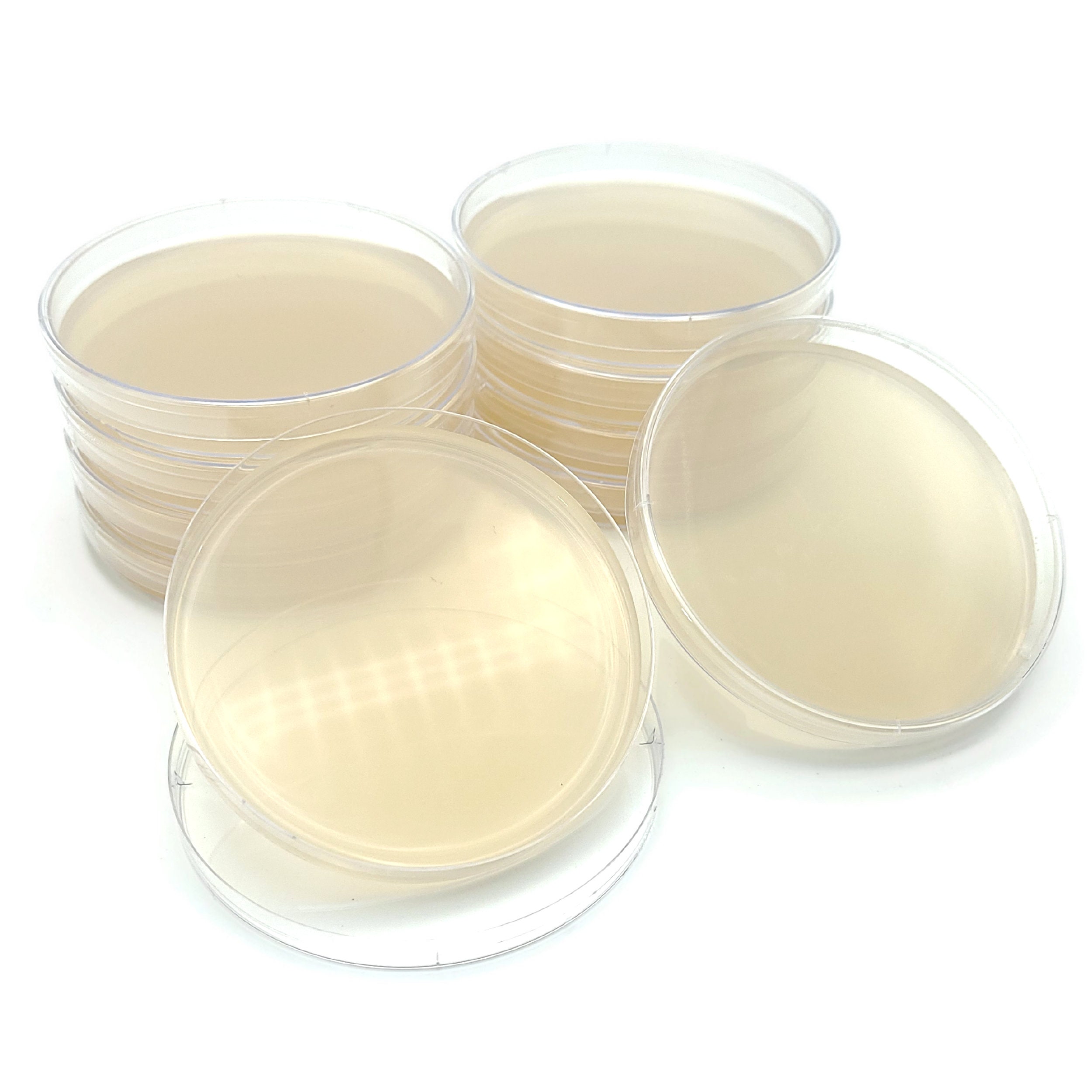 Agar Plate Clip Art