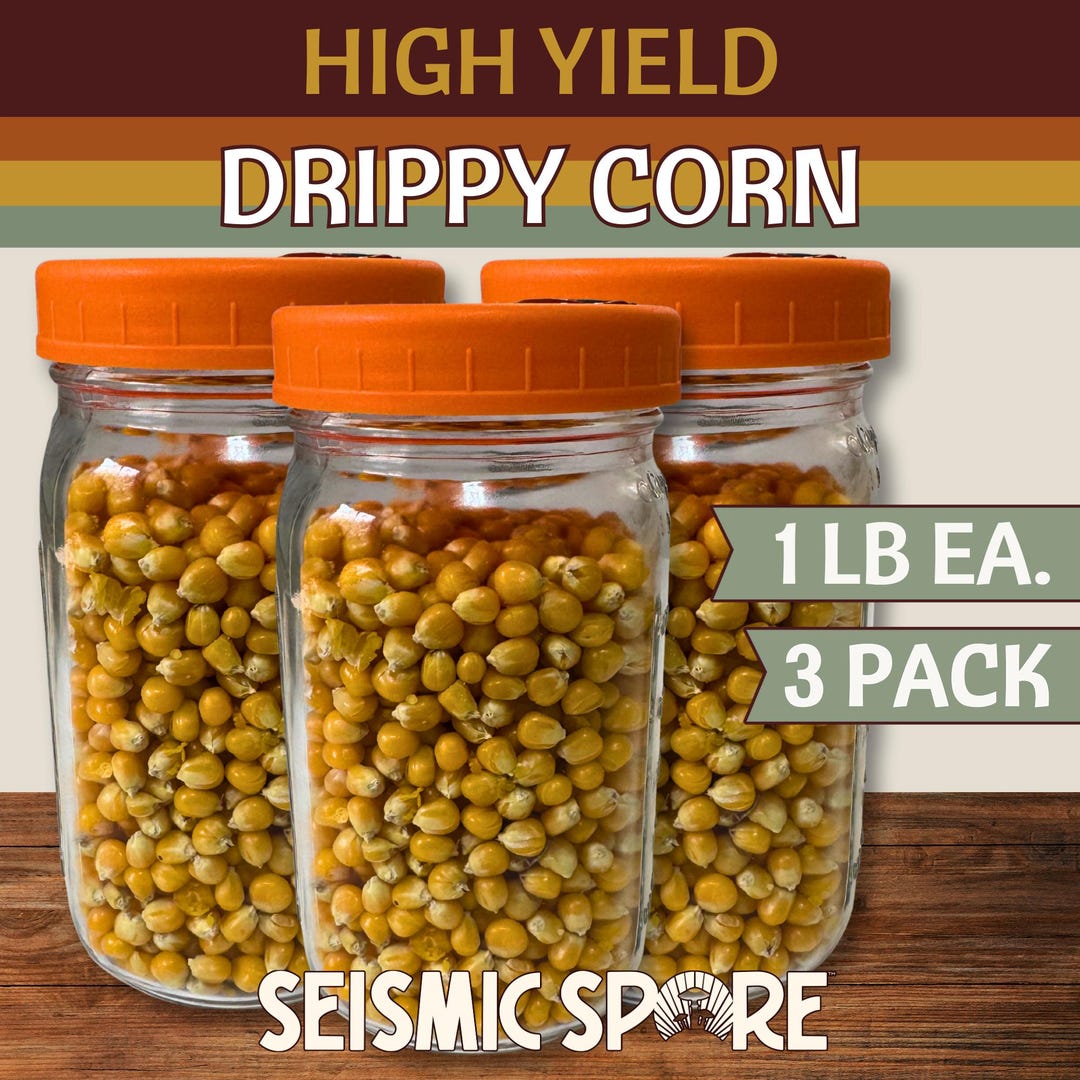 3x Sterilized Drippy Corn Jars: Organic Mushroom Substrate, Leak-proof ...