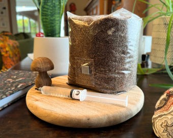 10lb Shiitake Mushroom Substrate Bag - Etsy