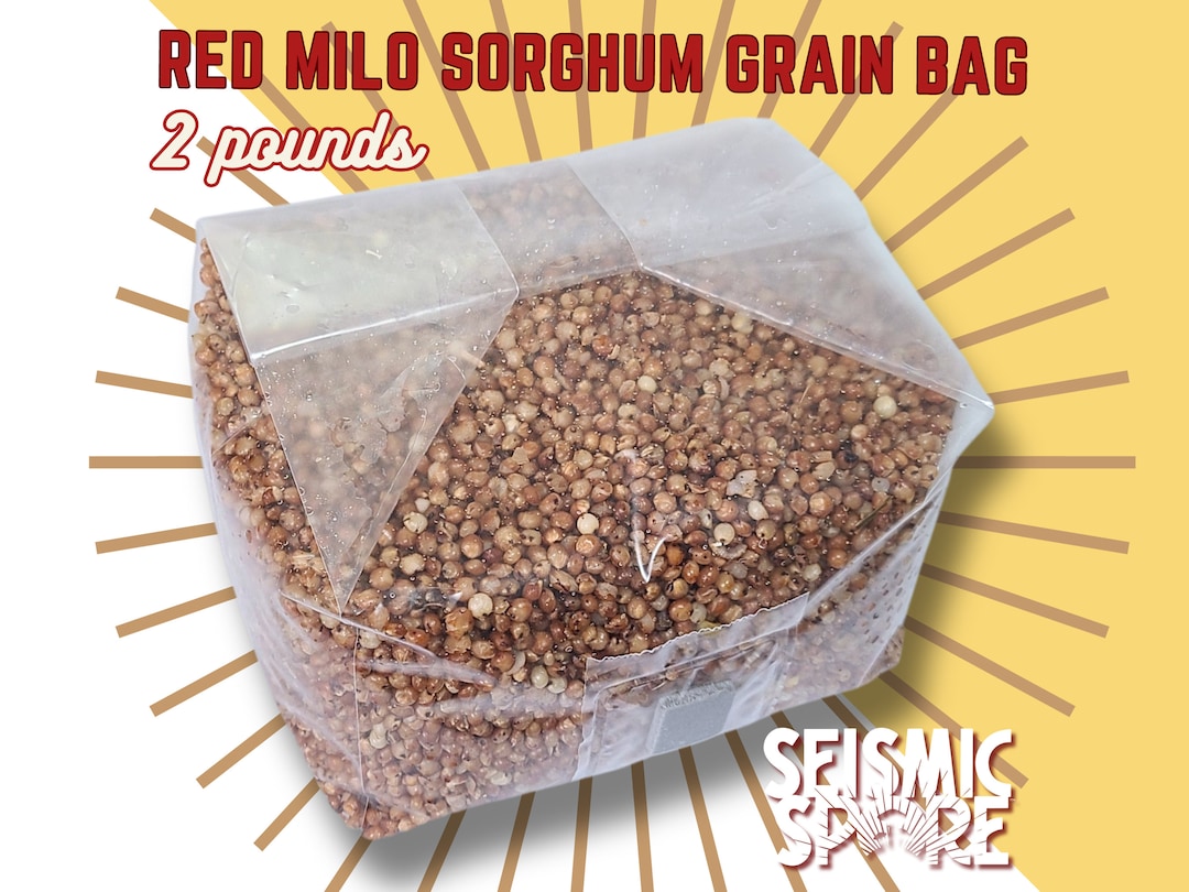 Red Milo Sorghum Mushroom Grain Bag - 2 Pounds - Etsy