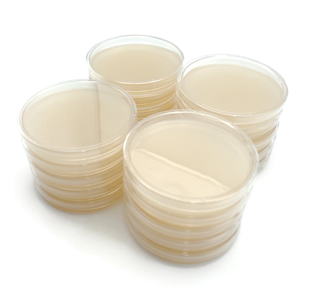 20 Sterile MEA Agar Petri Dishes With Parafilm Strips - Etsy