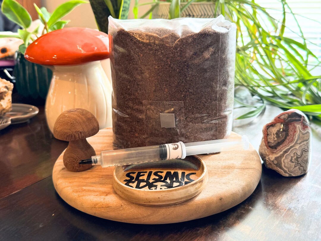 King Oyster Mushroom Substrate and Liquid Culture Grow Kit - Etsy