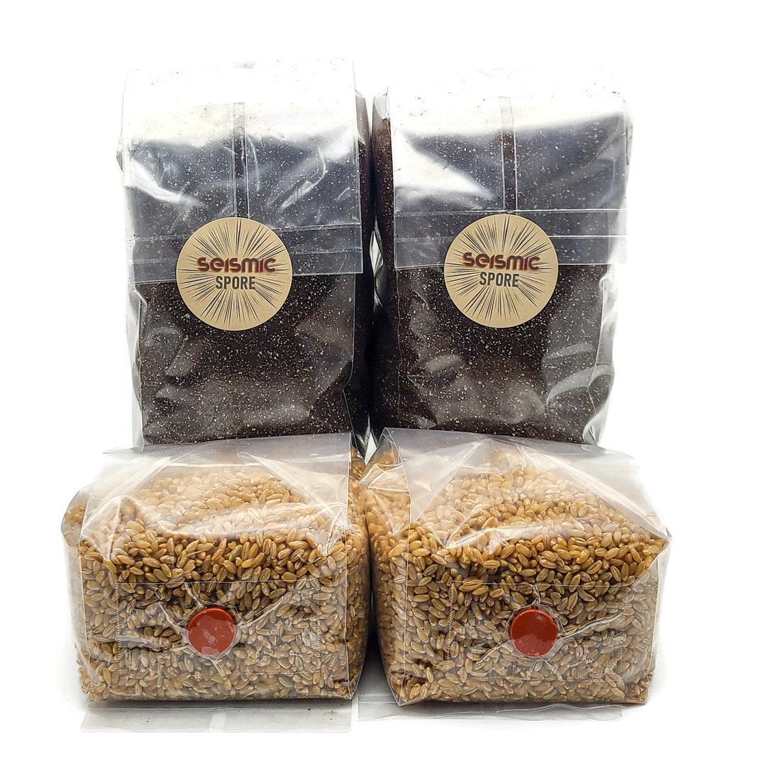 Mushroom Substrate: Sterilized Rye Grain & Pasteurized CVG (bulk) - Etsy