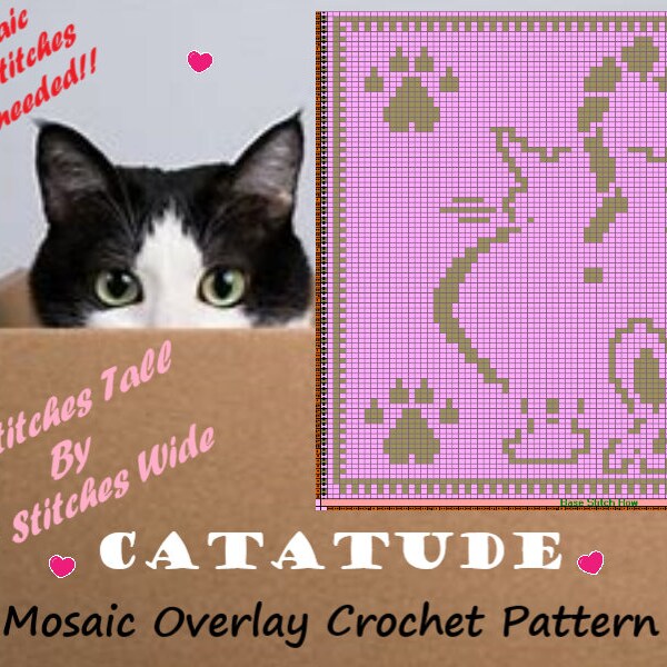 Overlay Crochet (Just for you!) - Etsy
