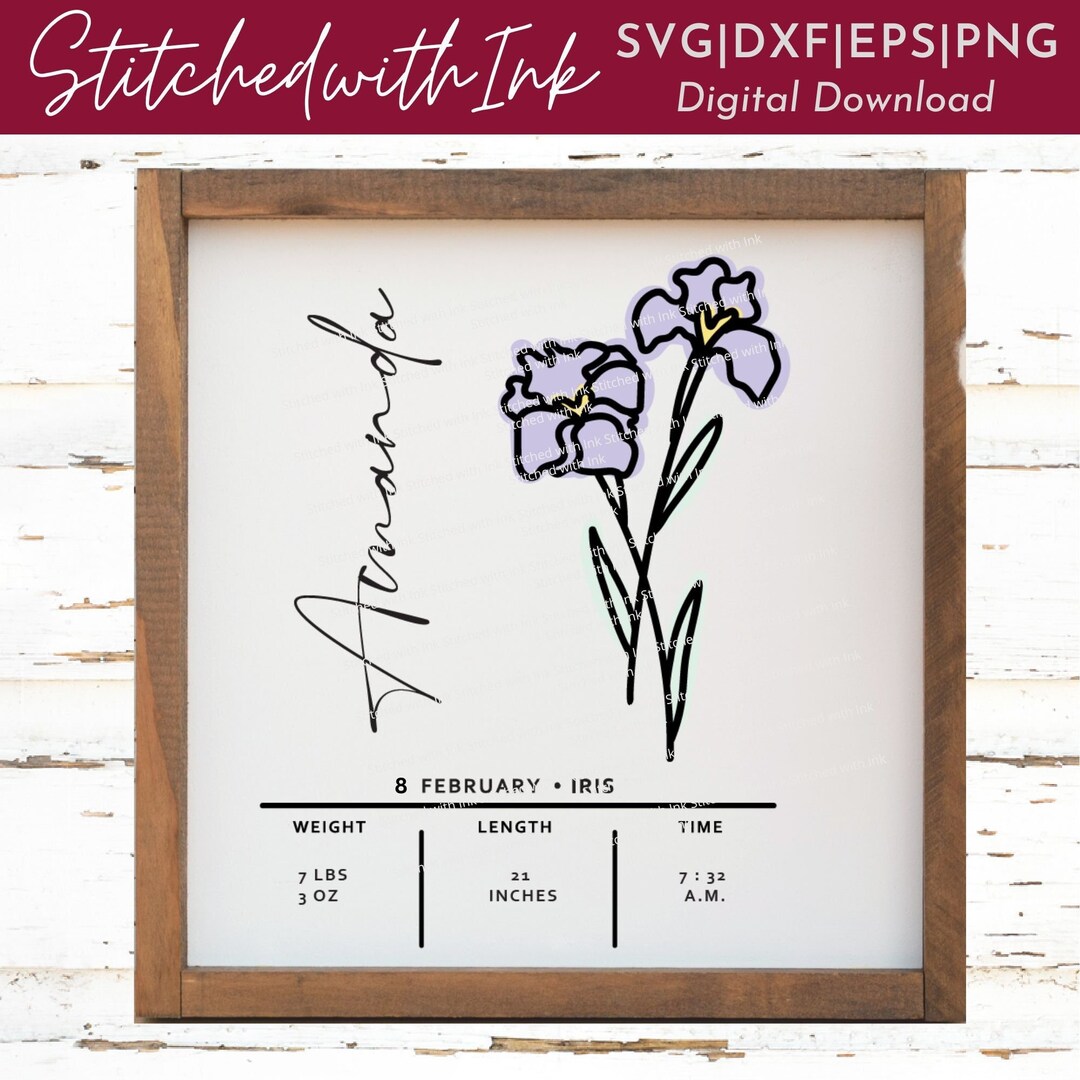 Baby Birth Stats Svg, February Birth Flower, Birth Stats Svg, Birth ...