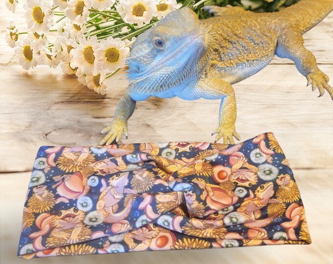 Bearded Dragon Turban Headband - Etsy