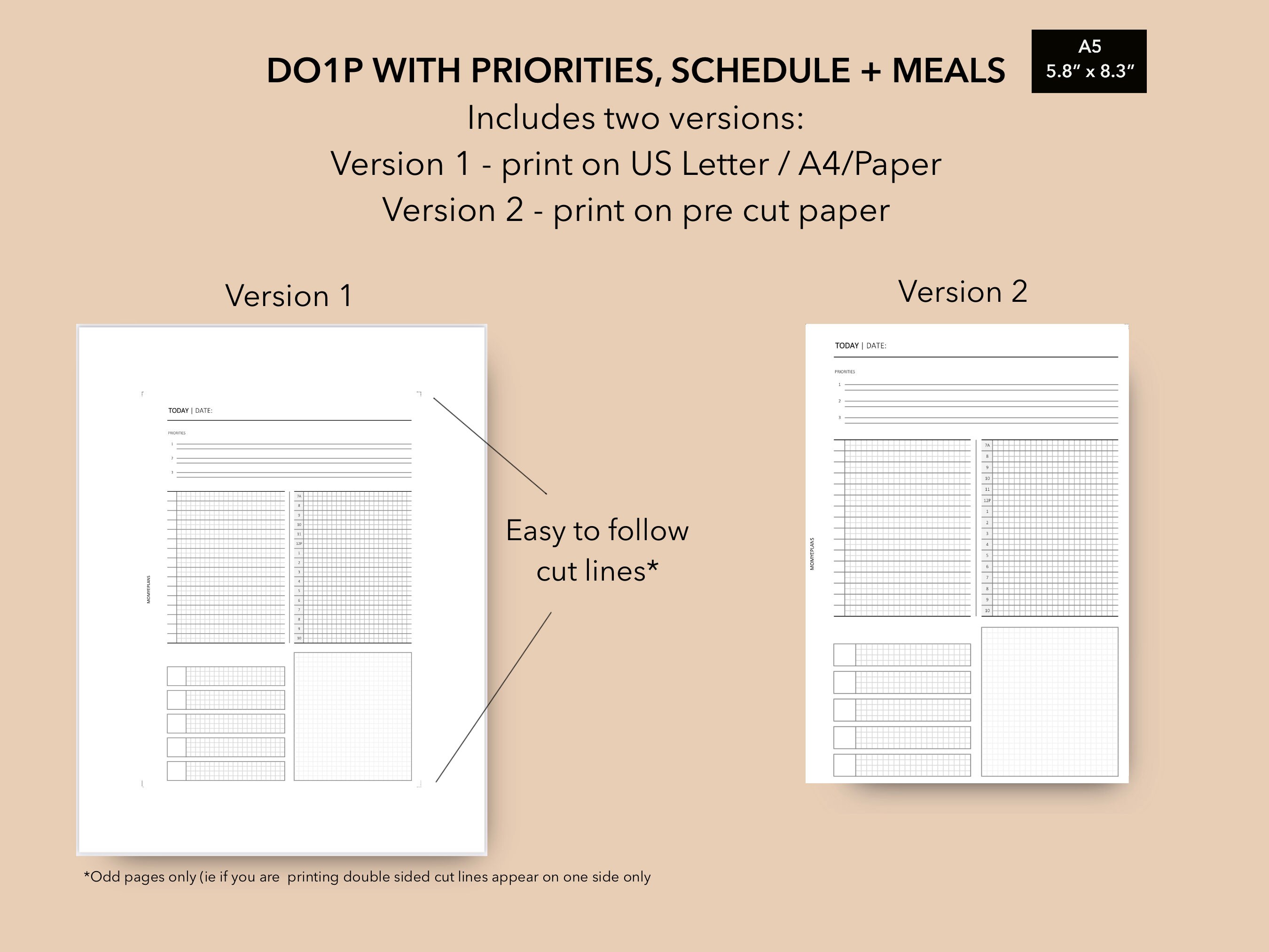 A5 2.5mm Grid Daily Schedule, Daily Planner A5 Planner Inserts, Daily ...