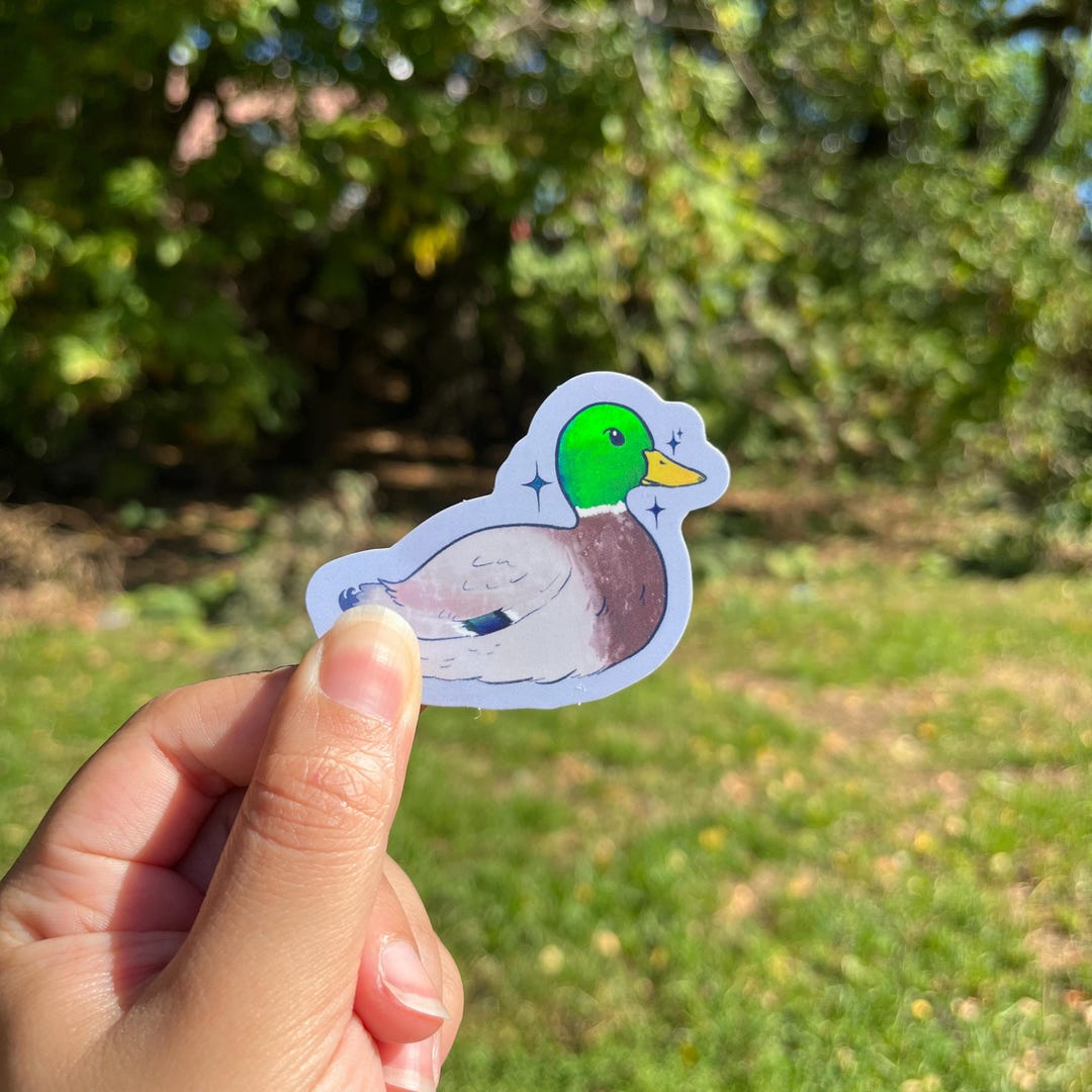 Holographic Mallard Duck Sticker | Water Resistant Die Cut - Etsy
