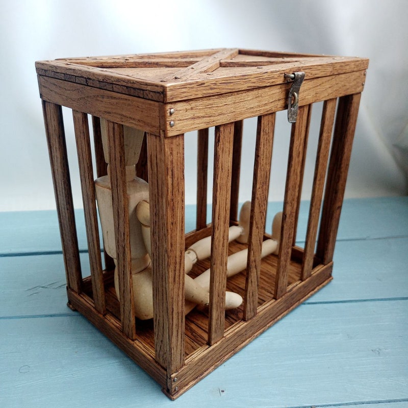 Punishment Cages - Etsy