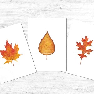 Fall Leaves Watercolor Card Set, Fall Leaves Note Cards, Autumn Leaves ...