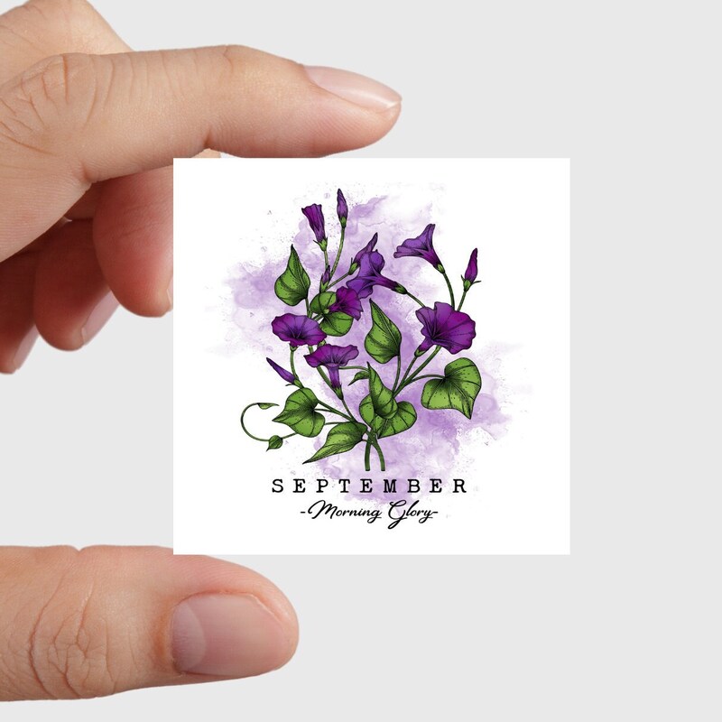 September Birth Flower - Etsy